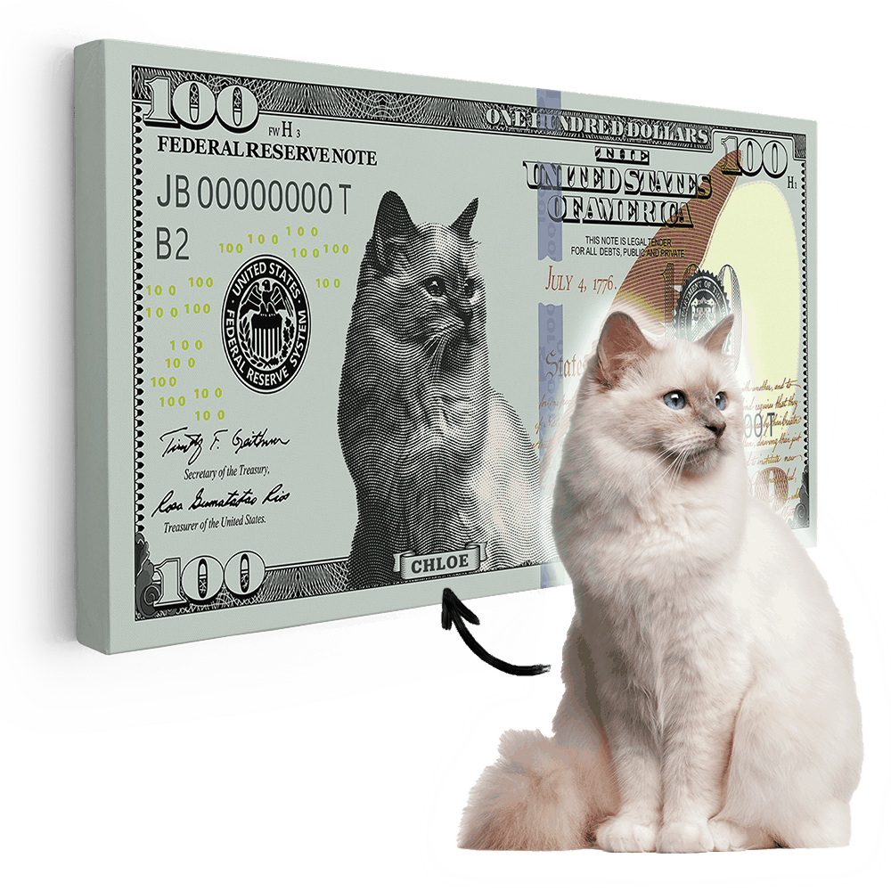 $100 Dollar Pet Portrait-Photo on Money – My Cartoon